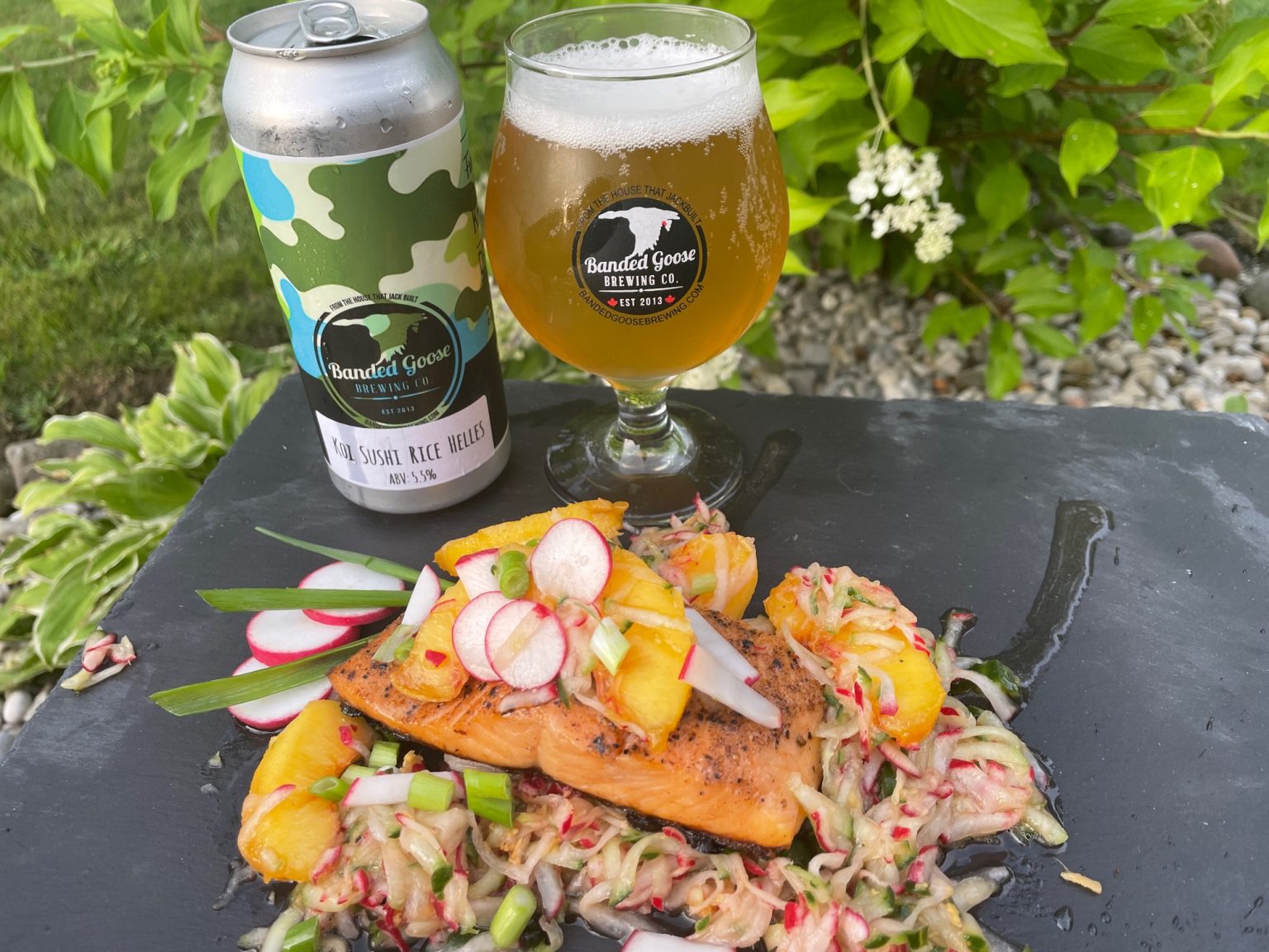 Banded Goose Brewing Company Koi Sushi Rice Helles with Radish ...