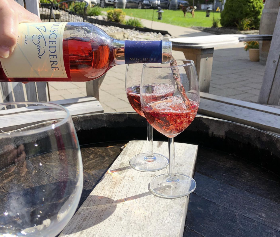 Discovering Muscedere Vineyards: A Family Legacy of Fine Wines