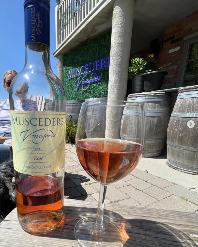 Discovering Muscedere Vineyards: A Family Legacy of Fine Wines
